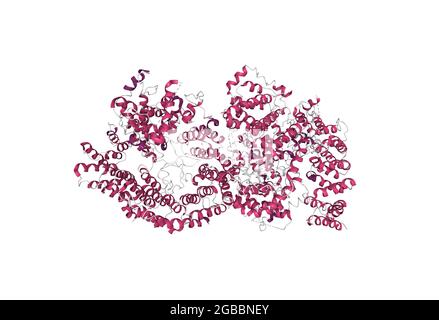 Huntingtin protein, illustration Stock Photo - Alamy
