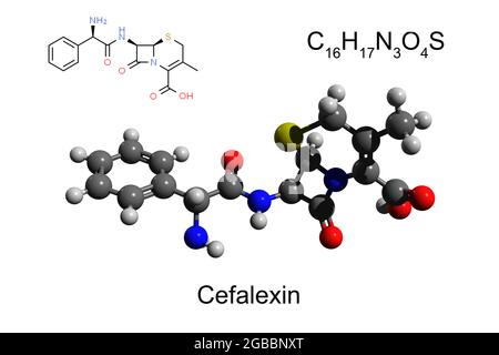 Cefalexin antibiotic drug molecule (cephalosporin, first generation ...
