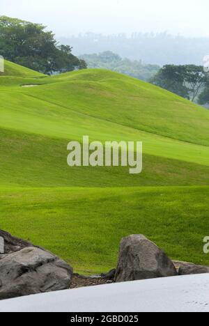 Beautiful golf course illuminated with sunlight Stock Photo - Alamy