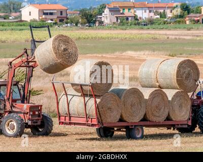 Tractor lifting hay bale on barrow.Agricultural landscape Stock Photo ...