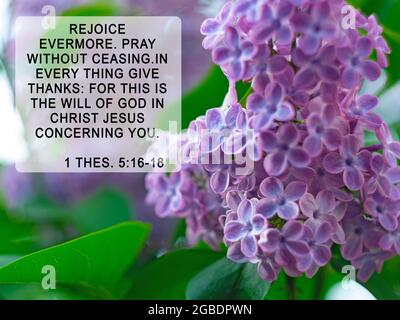 Bible quote on lilac flower. Inspiration Christian praying verse. He ...