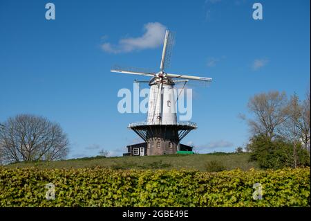 Traditional Dutch windmill used for grain grinding in sunny day Stock ...