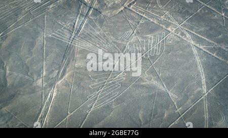Condor bird Nasca Geoglyph. Mysterious lines Nazca in desert, Peru ...