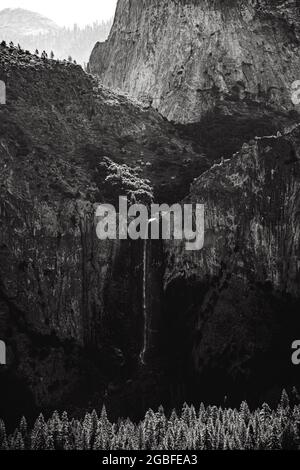 A greyscale shot of a beautiful park in Berlin, Germany Stock Photo - Alamy