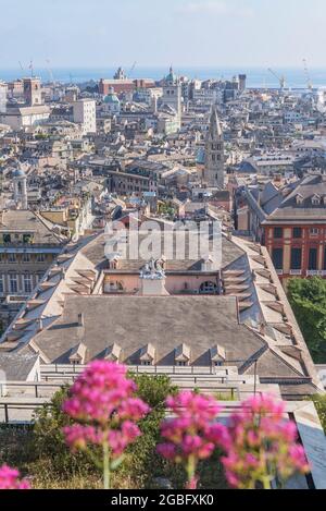 Cityscape, top view, Genoa, Liguria, Italy Stock Photo - Alamy