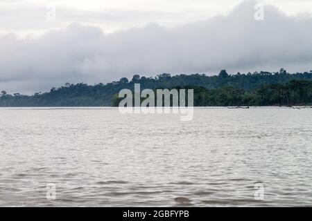 Jungle along river Napo, Ecuador Stock Photo - Alamy