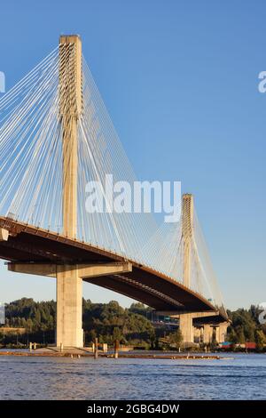 Port Mann bridge Canada over Fraser River in BC interesting unusual ...