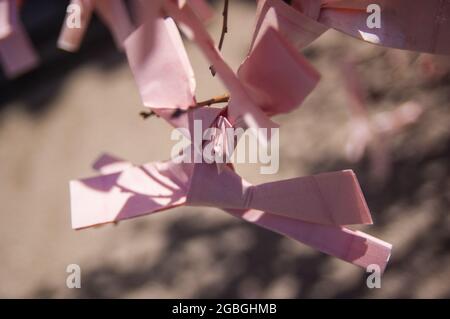 Closeup of Japanese Paper prayers Omikuji tied to tree Stock Photo - Alamy