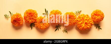 Marigold yellow flowers on orange pastel background, creative flat lay ...