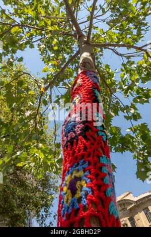 Colourful knitted and crocheted yarns wrap a trunk of a "Yarn Bombed ...