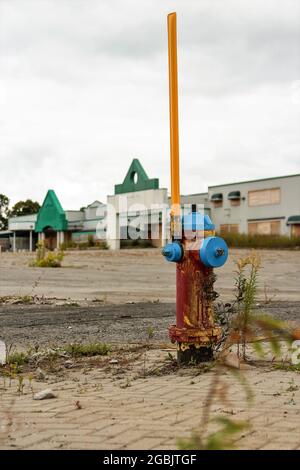 Old fire hydrant overgrown with weeds Stock Photo - Alamy