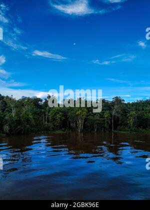 Amazon River and clouds reflex Stock Photo - Alamy