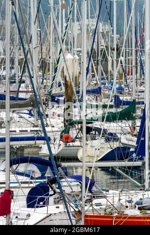 Sailing ships at quay, Cherbourg sailing harbor, Manche department ...