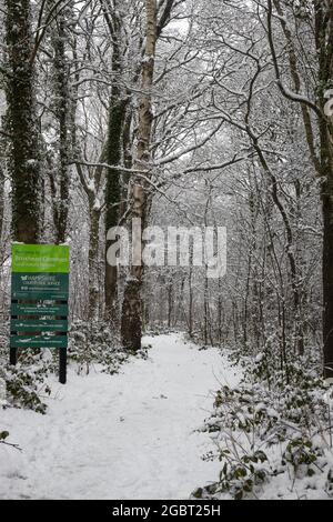 HAMPSHIRE, UNITED KINGDOM - Jan 05, 2021: A park bench in Bordon ...