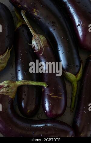 Raw purple aubergine on dark background Stock Photo - Alamy