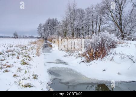 Spreewald im Winter - Spreeforest in cold winter, Brandenburg Stock ...