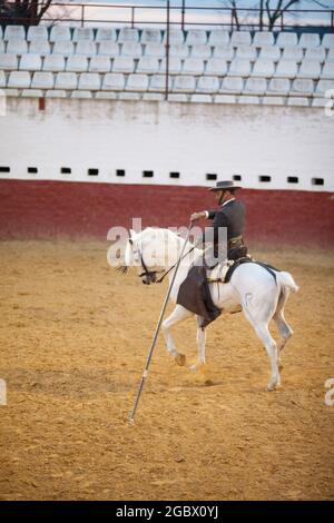 Garrocha pole horse riding in Spain near Sevilla in a farm Stock Photo ...