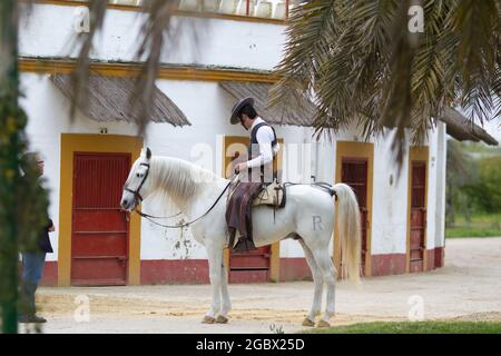 Horseback riding in Spain near Sevilla in a farm Stock Photo - Alamy