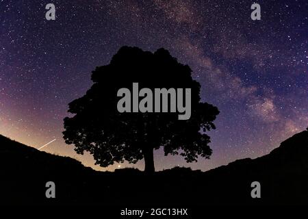 Night Photography at Sycamore Gap Stock Photo - Alamy