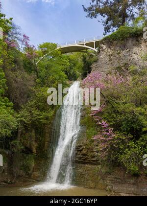 Tbilisi nature ecological botanic garden - park for green flora Stock ...