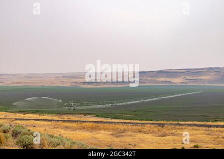 Center Pivot Irrigation with sprinkler system of field, Palouse area ...