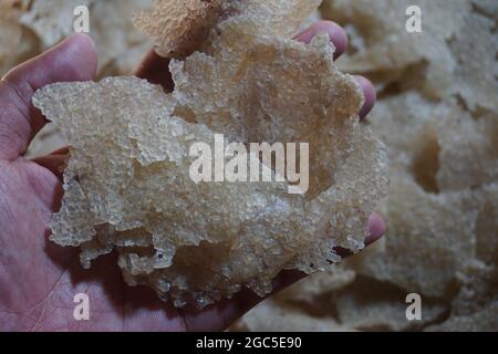 Raw kerupuk gendar (puli, kerupuk beras, Lempeng Puli) with a natural ...