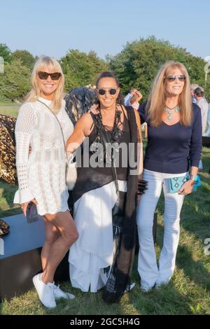 Christie Brinkley, Donna Karan and Jill Rappaport attend The Tusk Lion ...