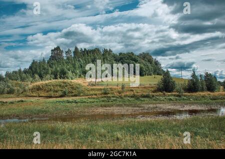 Russian summer meadow . Kenozersky National Park Arkhangelsk region ...