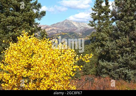 Alaskan fall colors, USA Stock Photo - Alamy