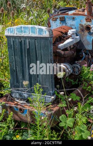 Fordson tractor left to rot, fordson major,fordson,fordson tractor ...