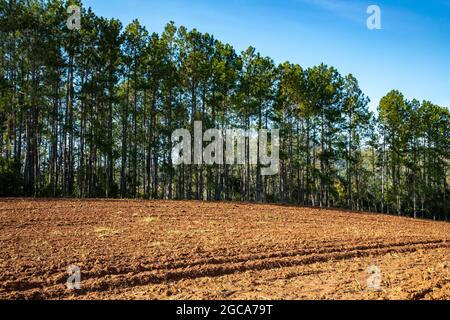 Farm field ready for plantation, Venancio Aires, Rio Grande do Sul ...