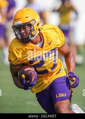 LSU running back Josh Williams (27) carries between Arkansas defensive ...