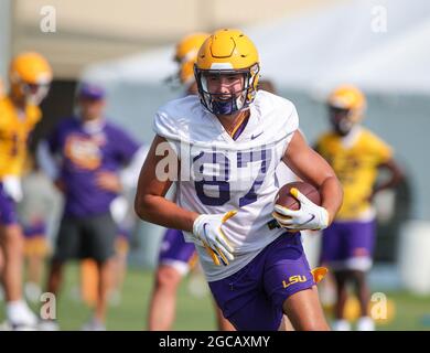 LSU tight end Kole Taylor (87) celebrates a touchdown that was called ...