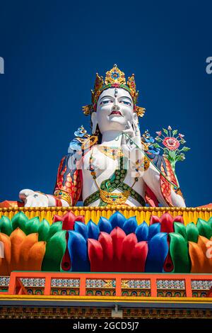 buddhist colorful goddess statue with flat blue sky at morning image is ...
