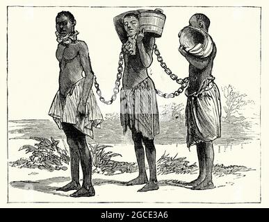 Engraving of chained African slaves in cargo hold of the slave ship ...