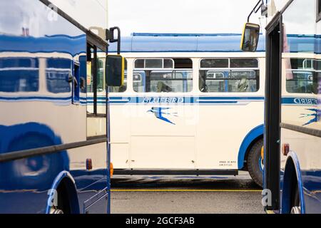 Bluebird logo on W Alexander & Sons Ltd vintage bus - Scotland, UK ...