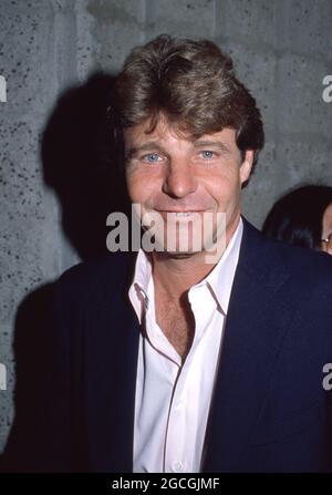 David Nelson Circa 1980's Credit: Ralph Dominguez/MediaPunch Stock ...