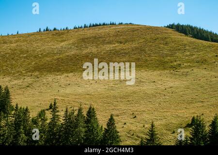 view from Cindrel mountains, Romania Stock Photo - Alamy