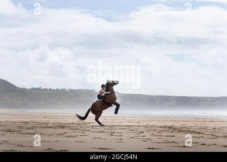 Women ride horse on Rhossilli Bay beach in West Wales, UK with the haze ...