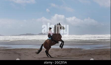 Women ride horse on Rhossilli Bay beach in West Wales, UK with the haze ...