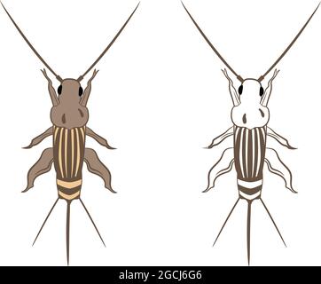 Cricket field icon. White background with shadow design. Vector ...
