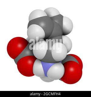 Kainic acid molecule. Direct agonist of the glutamic kainate receptors ...