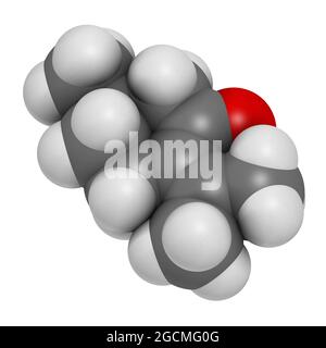 Pulegone molecule. 3D rendering. Atoms are represented as spheres with ...