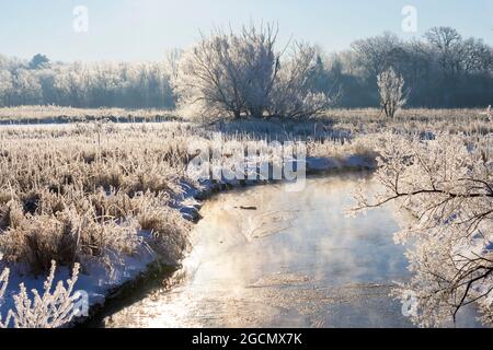 Bark River Hoar Frost Stock Photo - Alamy