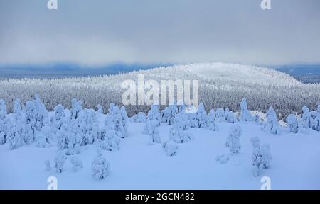 Wintry landscape in Finnish Lapland, photographed at sunset Stock Photo ...