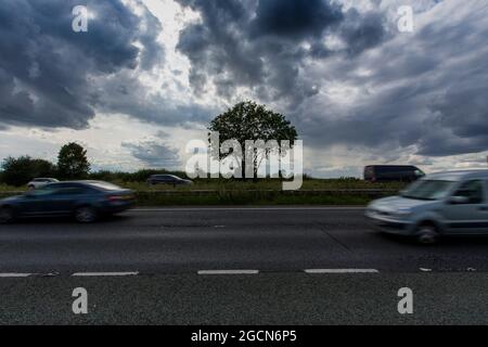 Storm clouds develop over a single tree on the side of the A1 trunk ...