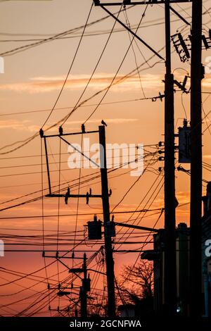 Mess of wires during the sunset. Las Tunas, Cuba Stock Photo - Alamy