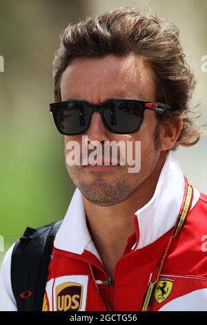 Bahrain. 4th April 2014. Fernando Alonso (ESP) #14 Scuderia Ferrari ...