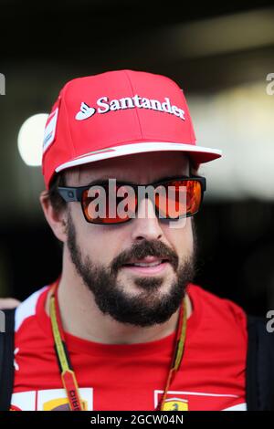 Fernando Alonso (ESP) Ferrari. Brazilian Grand Prix, Thursday 6th ...