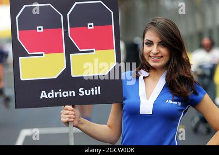 Grid at the Sao Paulo Grand Prix 2025 at Interlagos, Sao Paolo, Brazil ...
